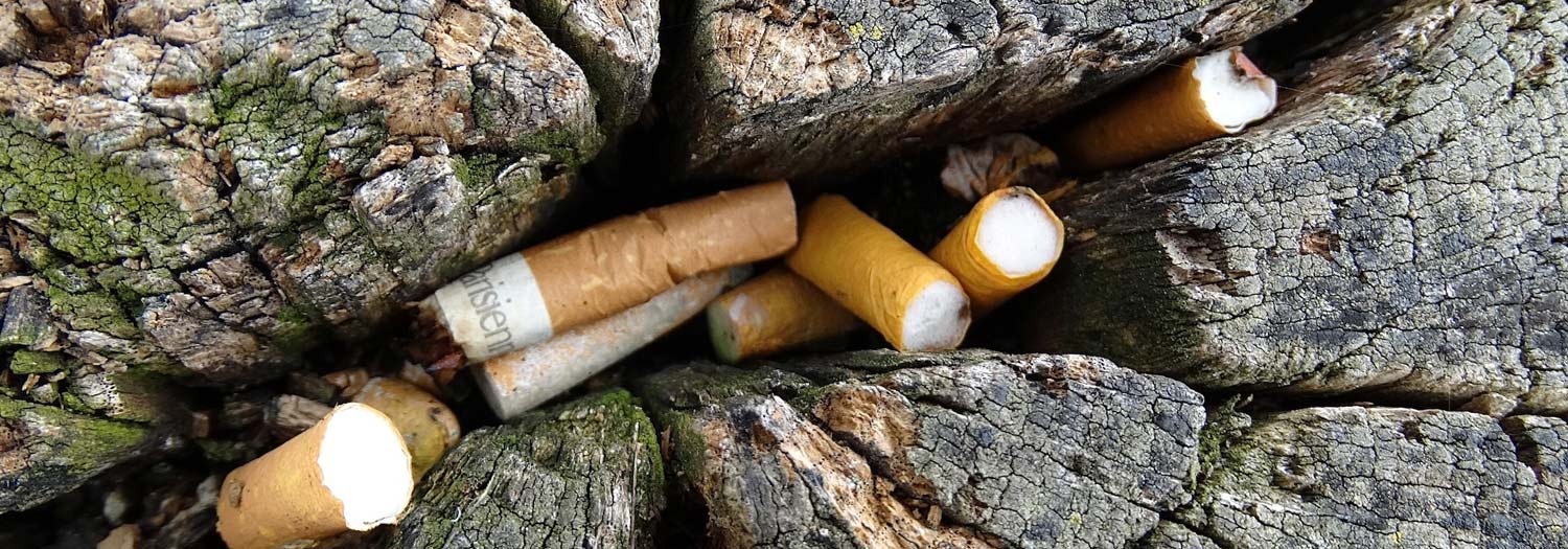 Cigarette Litter Prevention Program: BoatUS Foundation