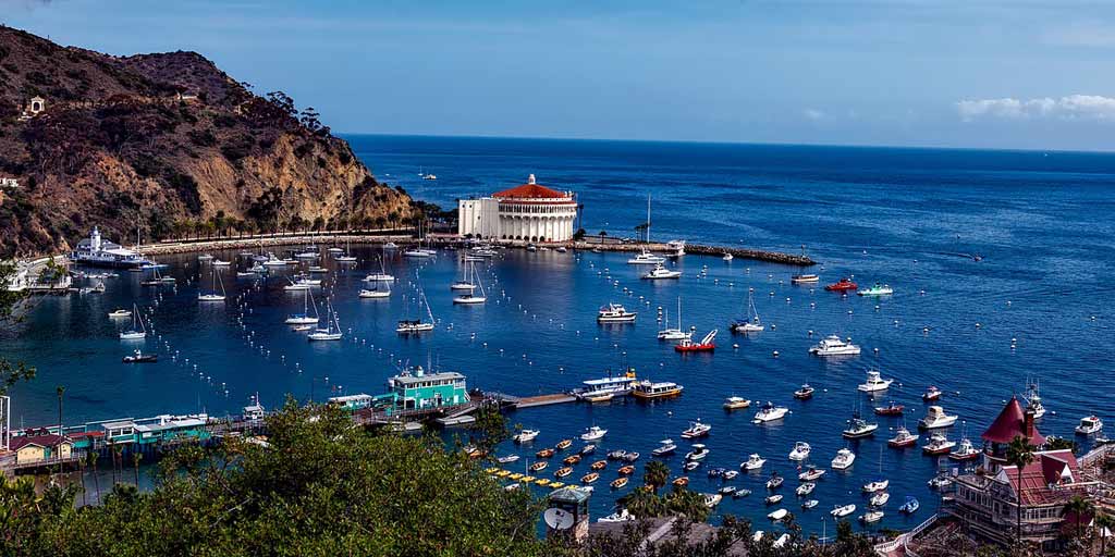 California Boater Card | Bloodydecks